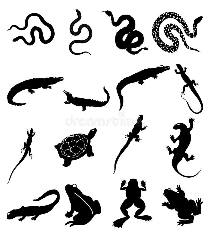 Reptile icons set stock vector. Illustration of toad - 49236770