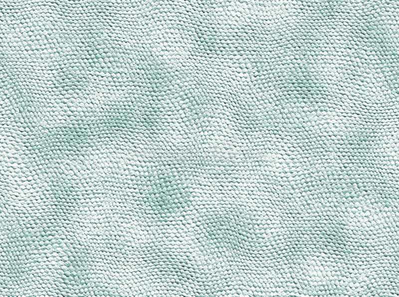 Reptile Skin Picture. Image: 5625963