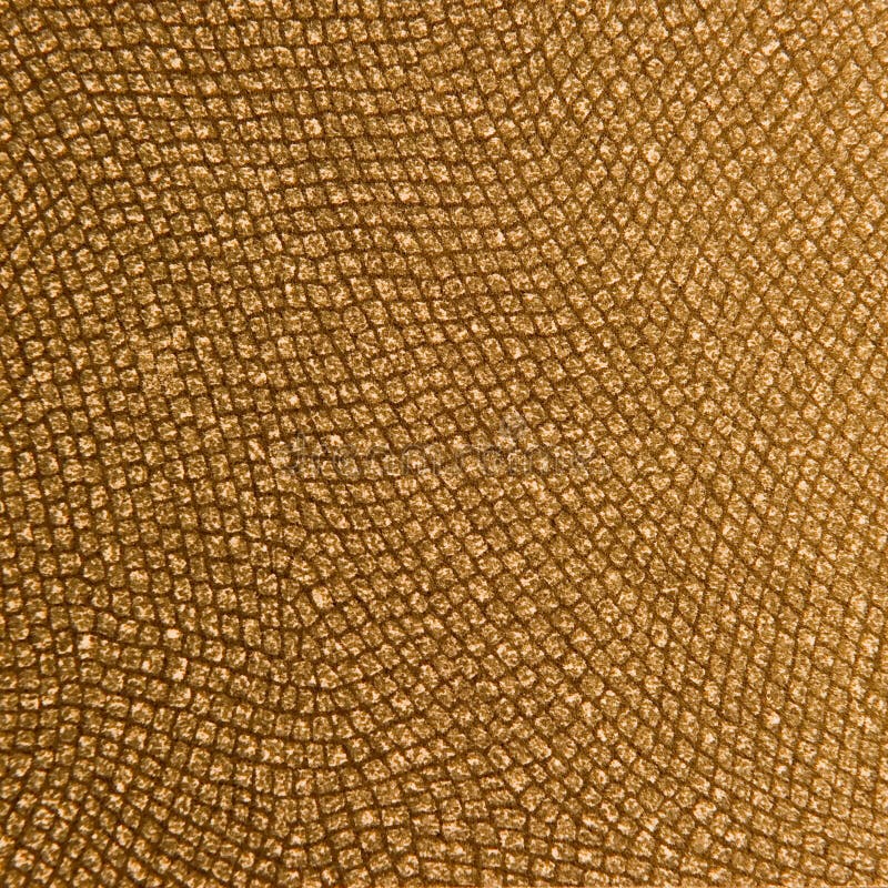 16+ Dinosaur pattern skin Free Stock Photos - StockFreeImages