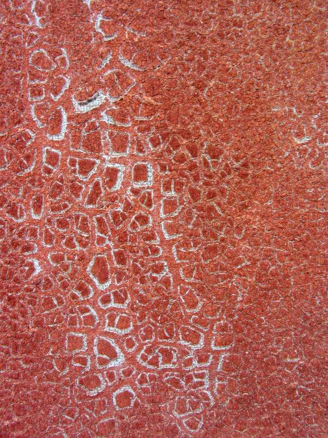 Reptile Skin Pattern Red Cyan Old Painted Wood Structure Stock Image ...