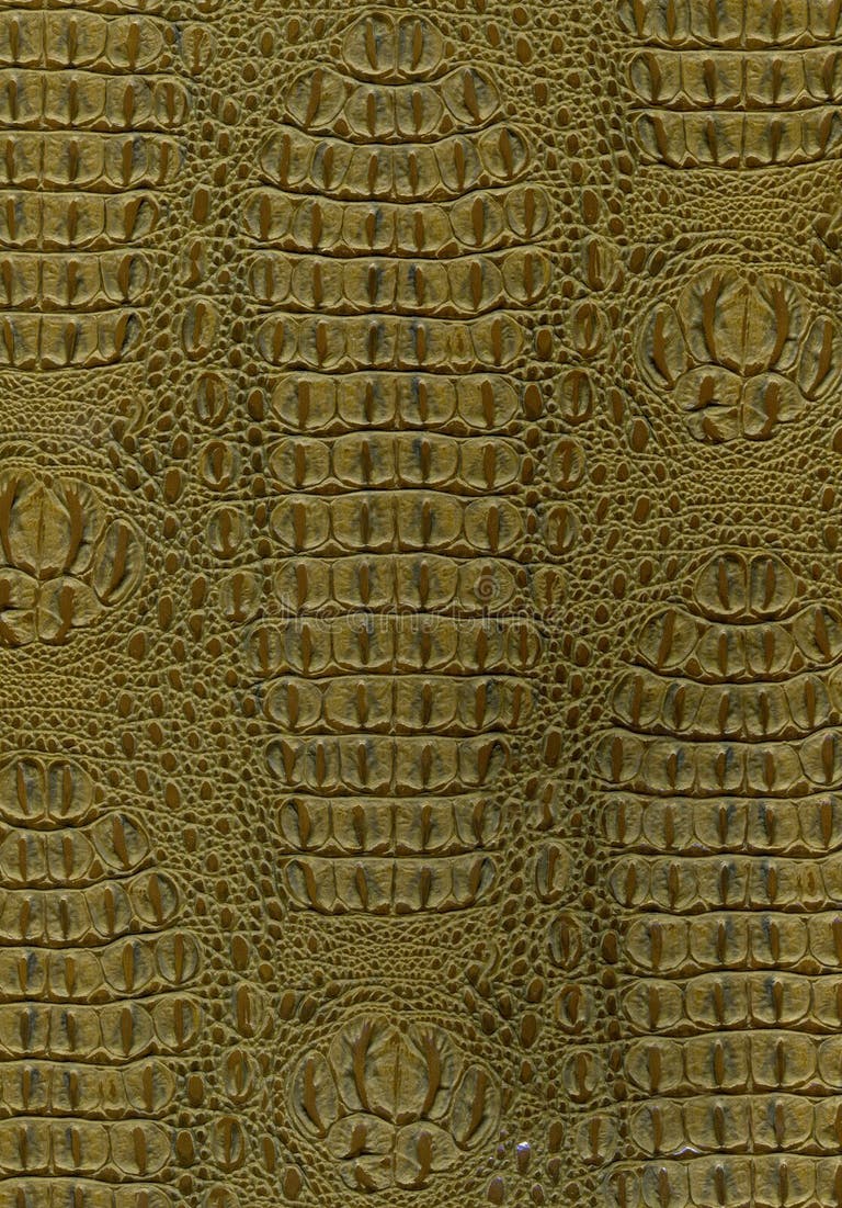 26,204 Reptile Skin Texture Stock Photos - Free & Royalty-Free Stock ...