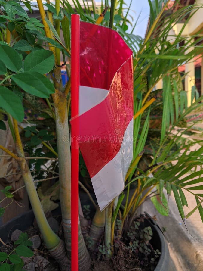 Republic Indonesia Flag Made Plastic Stock Photos - Free & Royalty-Free ...