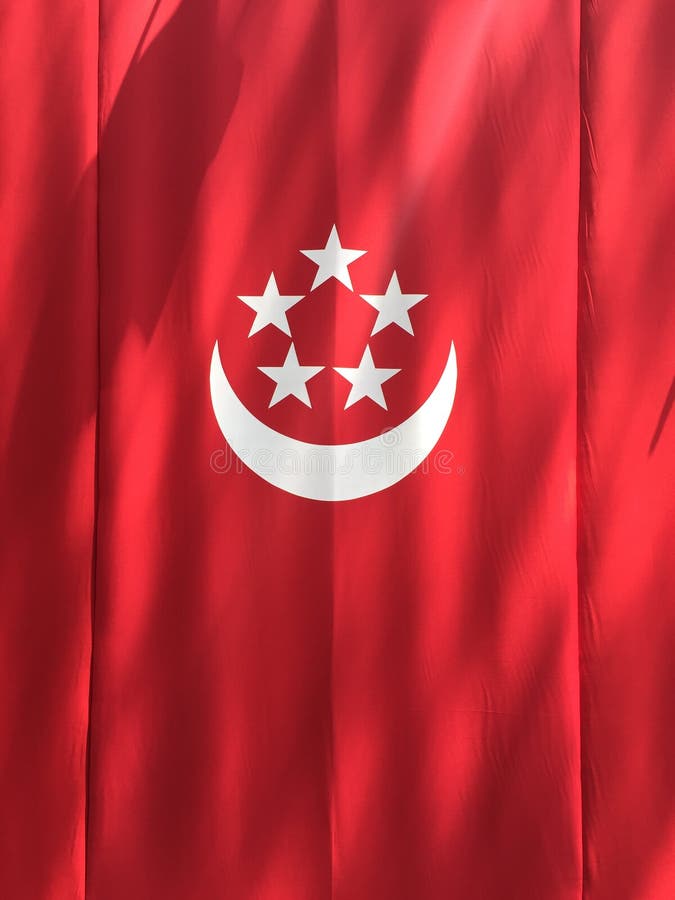 Republic of Singapore Air Force (RSAF) SHIKRA Low Level Air ...