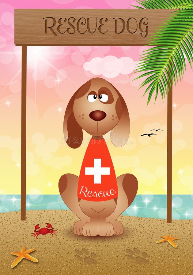Rescue dog on the beach stock illustration. Illustration of cute - 42925319