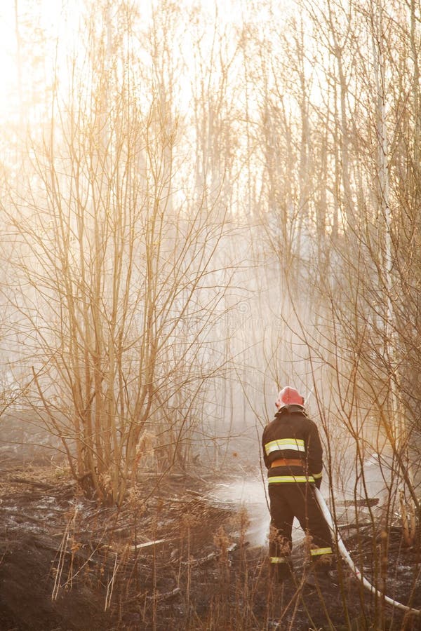 Rescuers Extinguish Forest Fire Stock Image - Image of grass, heat ...