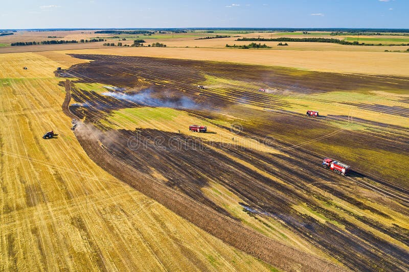 Rescuers Extinguish a Small Fire in the Field Stock Photo - Image of ...