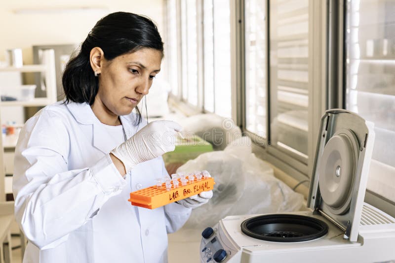 A Reseacher Placing DNA Samples in a Microcentrifuge. Stock Photo ...