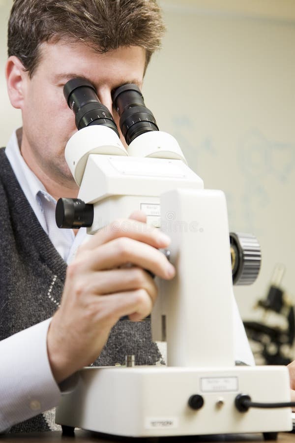 Research stock photo. Image of examine, science, specimen - 7544072
