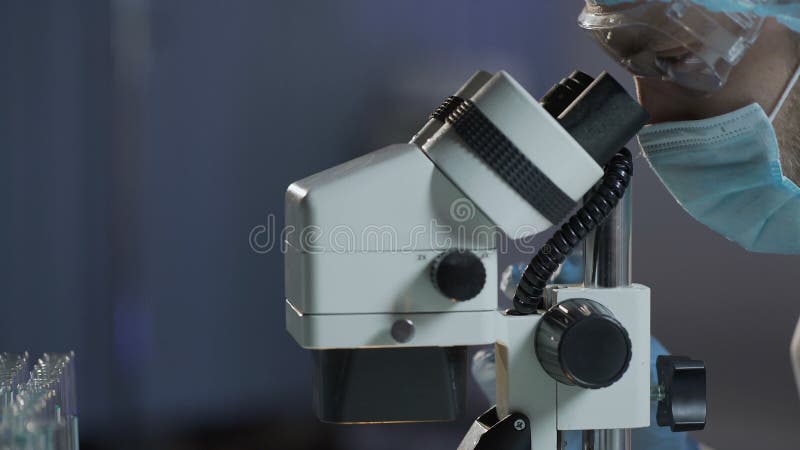 Red Blood Cells Under Microscope Stock Footage - Video of micro ...