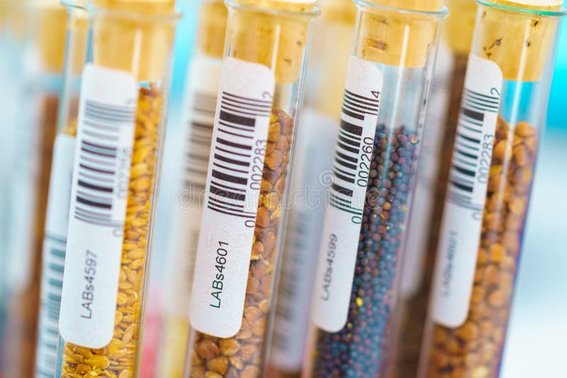 Research Analyzing Agricultural Grains and Seeds in the Laboratory ...