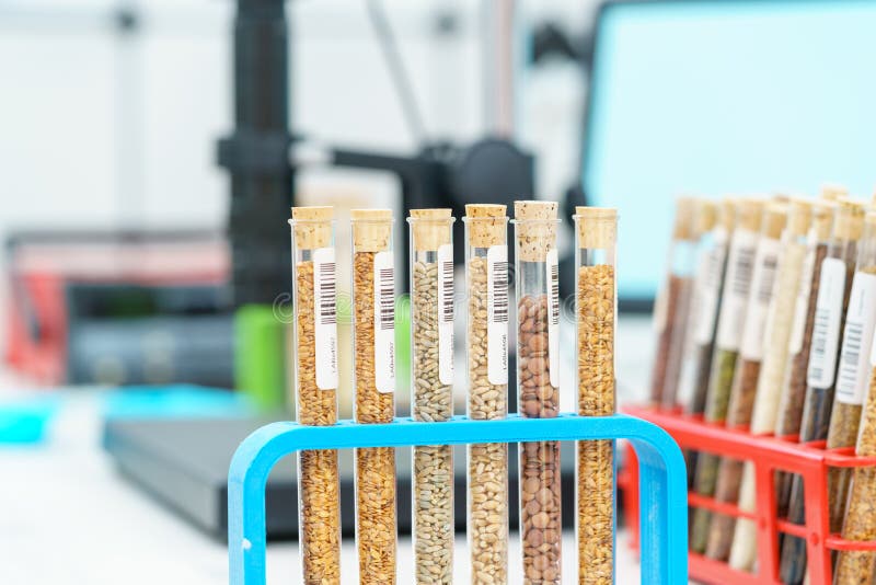 Research Analyzing Agricultural Grains and Seeds in the Laboratory ...