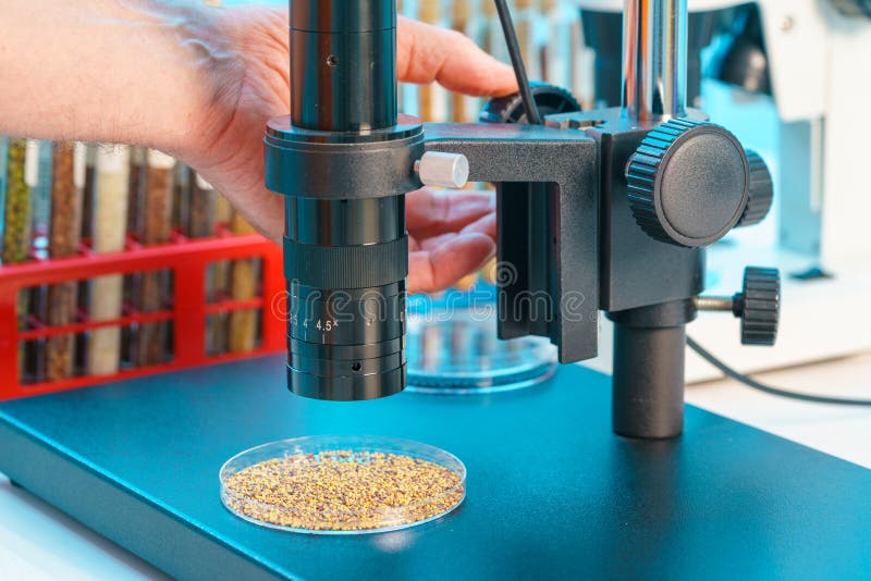 Research Analyzing Agricultural Grains and Seeds in the Laboratory ...
