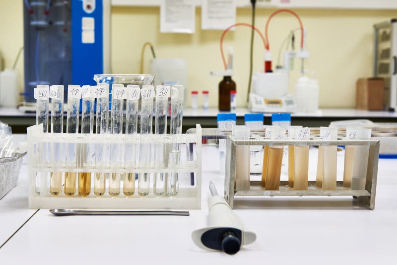 Research of Biological Material in Biochemical Laboratory Stock Photo ...