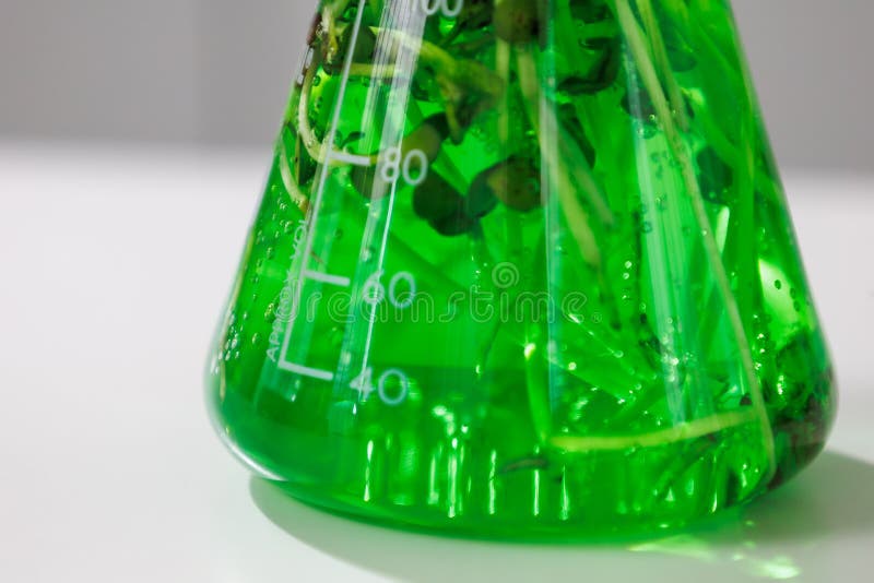 Research and Biotech Science Scientists are Developing Research on ...