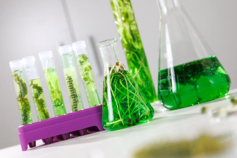 Research and Biotech Science Scientists are Developing Research on ...