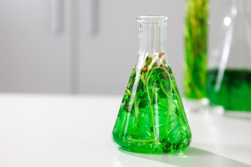 Research and Biotech Science Scientists are Developing Research on ...