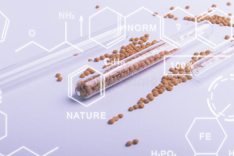 Research and Development of New Varieties of Seeds. Selection and ...