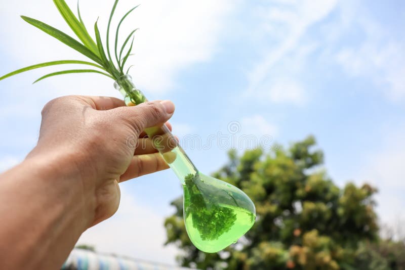 Research for the Environment Stock Photo - Image of bottle, leaves ...