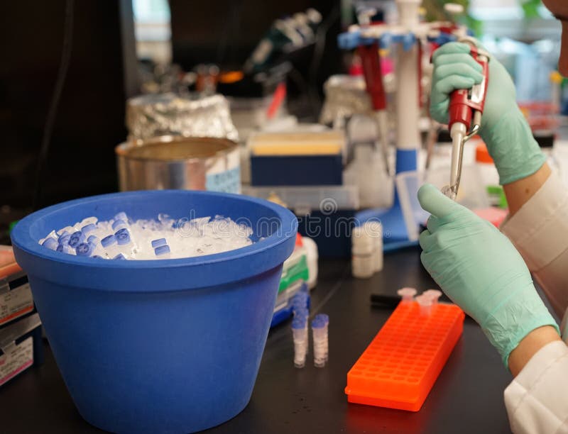 Research experimentation stock photo. Image of working - 55573360