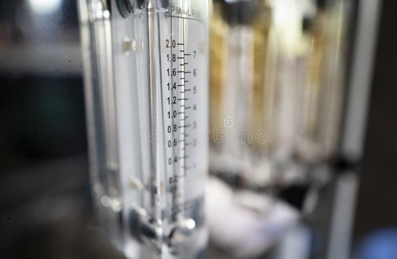Research in the Laboratory - Measuring Indicators of Temperature and ...