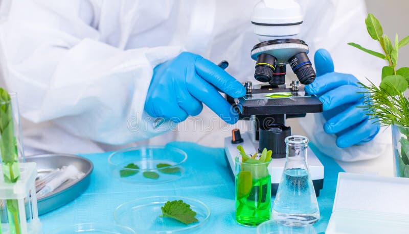 Research of Plants in the Laboratory. Selective Focus Stock Image ...