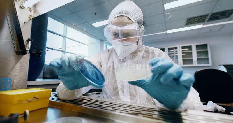 Research, Sample and Science with Person in Laboratory for Biology ...