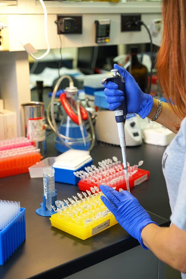 Research sample testing stock image. Image of biological - 55574545
