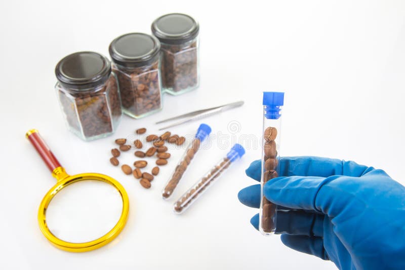 A Research Scene Showcases Coffee Beans in Test Tubes, Held by a Gloved ...