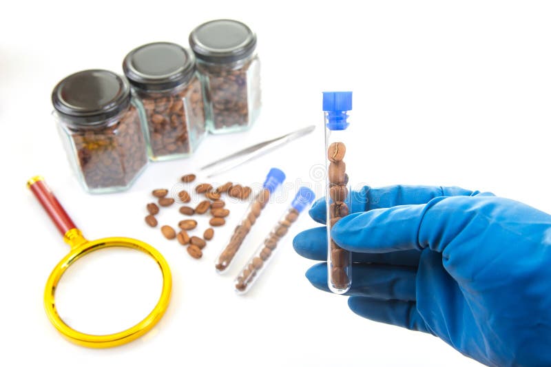 A Research Scene Showcases Coffee Beans in Test Tubes, Held by a Gloved ...