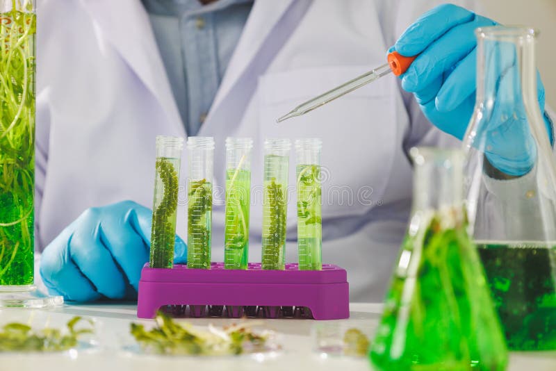 Research Scientist Team Working Research and Biotech Science ... Research Scientist Team Working Research and Biotech Science ...