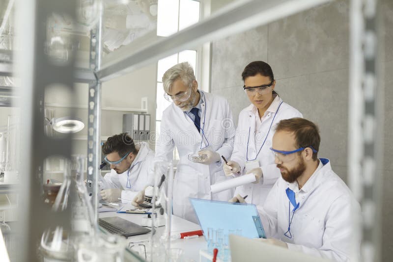 Research Scientists Team Working Using Computer and Medical Equipment ...