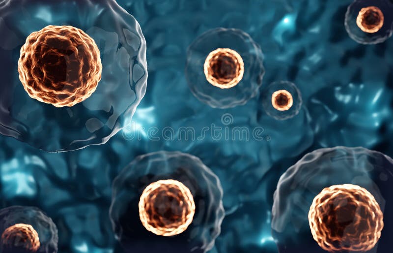 Research of Stem Cells. Stem Cells Under a Microscope Stock Image ...