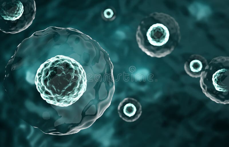 Research of Stem Cells. Stem Cells Under a Microscope Stock Photo ...