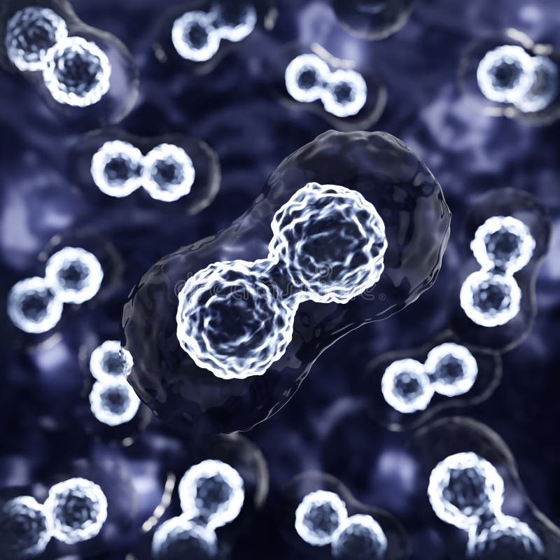 Research of Stem Cells. Cells Under a Microscope Stock Image - Image of ...