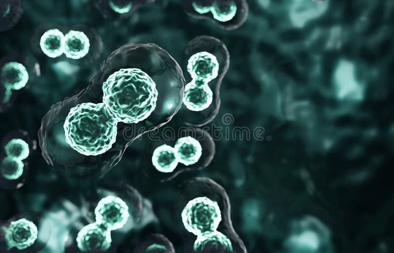 Research of Stem Cells. Cells Under a Microscope Stock Image - Image of ...