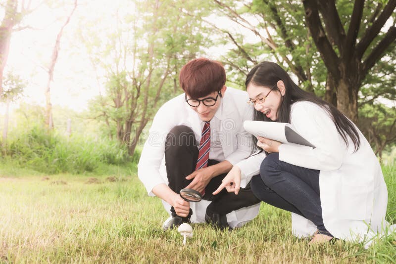 Research study nature stock photo. Image of book, looking - 100768546