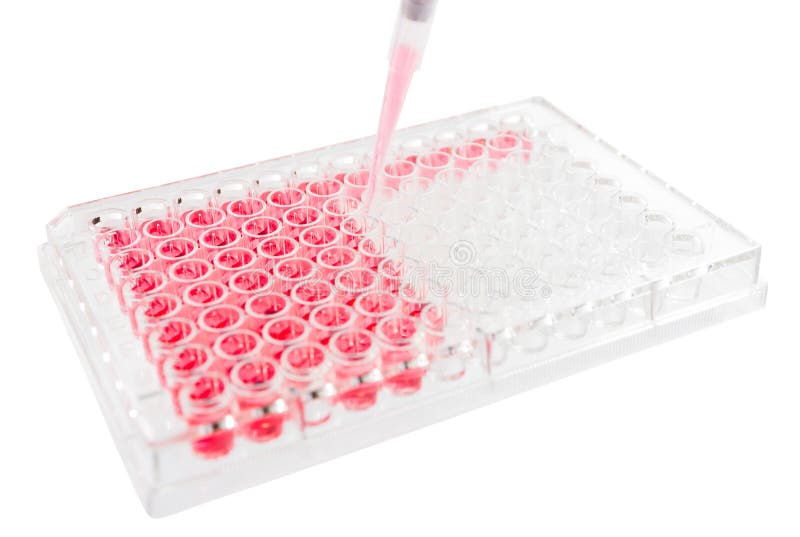 Research Test Lab Elisa Plat Stock Image - Image of plate, analysis ...