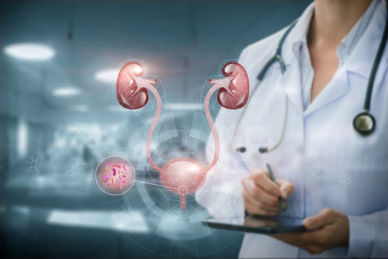 Of Research is To Check the Microflora of the Urinary System Stock ...