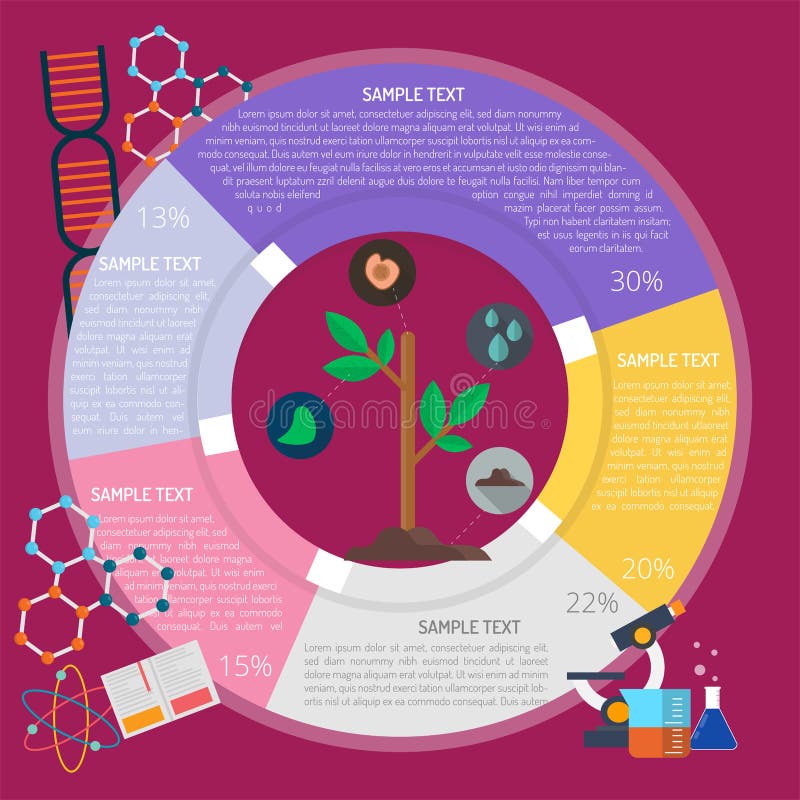 Research about Tree Infographic Stock Vector - Illustration of ...