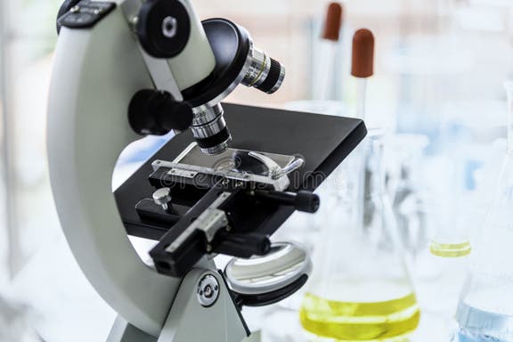 Researched Microscope Slides Under the Monocular Microscope. Close Up ...