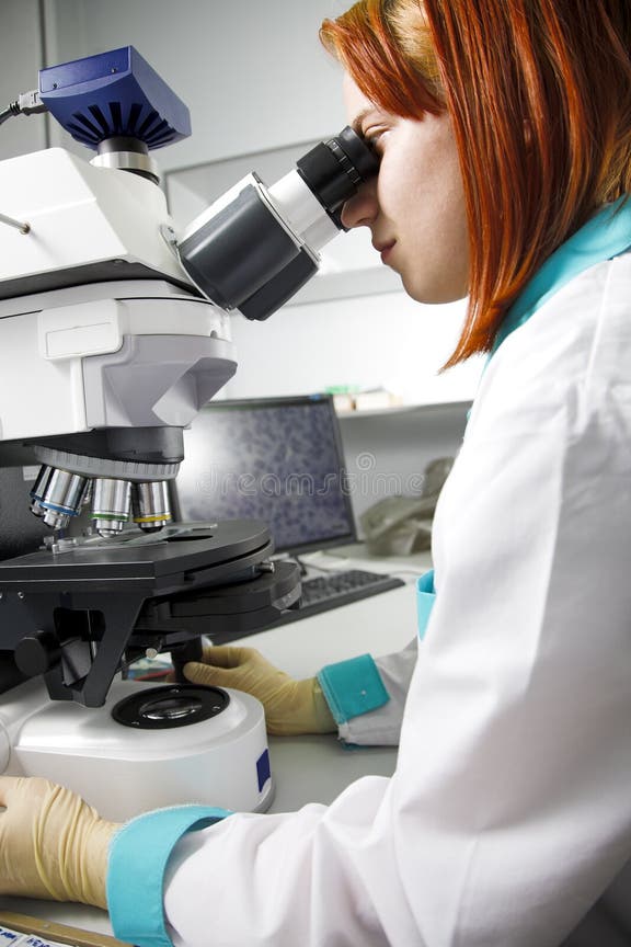 Researcher stock photo. Image of researcher, look, health - 13920286