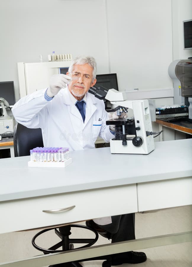Researcher Analyzing Microscope Slide in Lab Stock Image - Image of ...