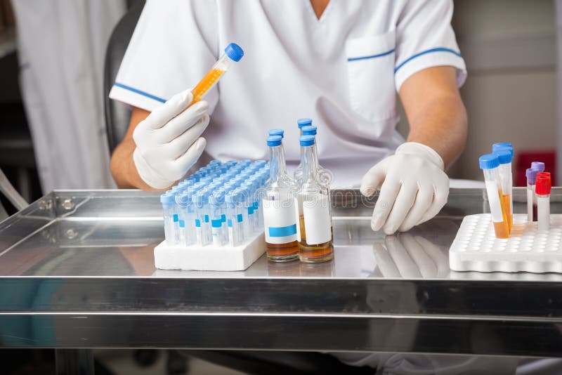 Researcher Analyzing Sample in Test Tube Stock Photo - Image of ...