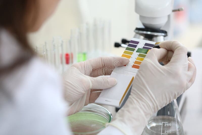 Researcher Doing Comparison Stock Image - Image of flask, concept ...