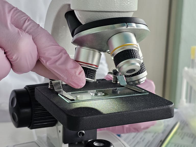 Researcher Examines Slide Under Microscope in Laboratory Stock Image ...