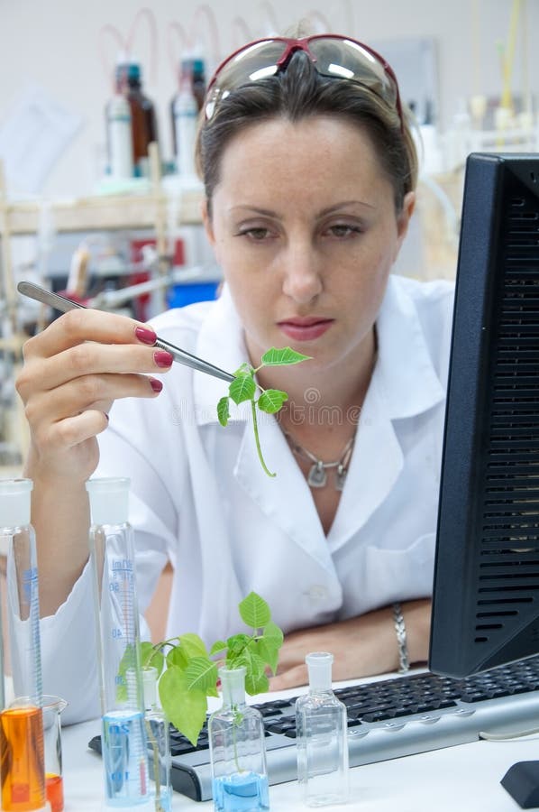 Scientist Researching A Green Plant Stock Photo - Image of chemical ...