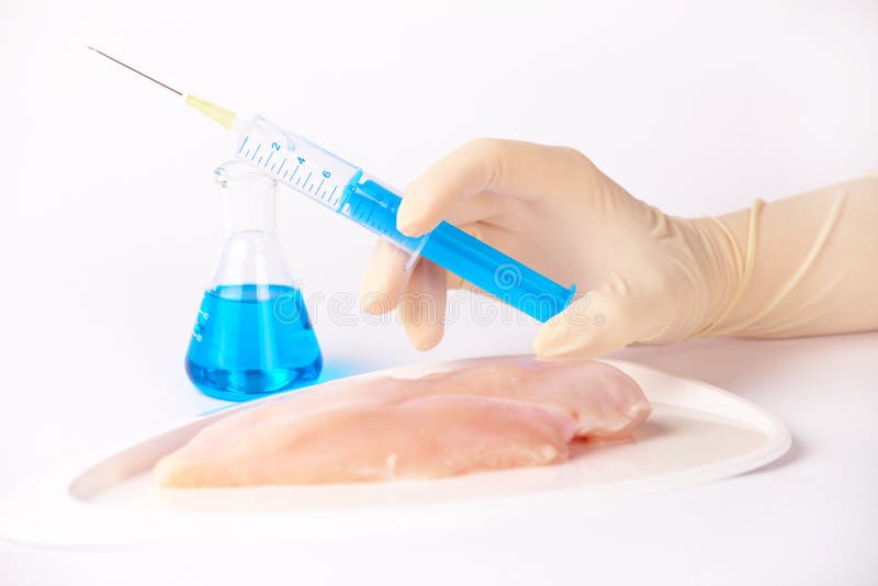 Researcher Injecting GMO Chicken Meat Stock Image - Image of research ...