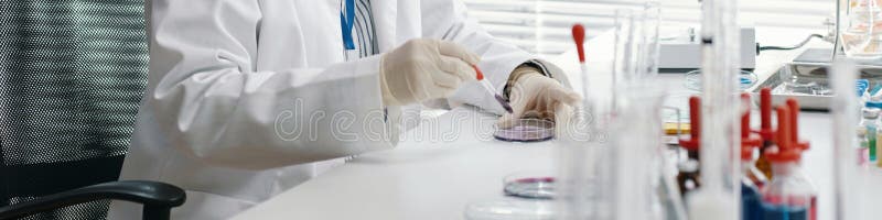 Conducting Experiments in Controlled Laboratory Setting Stock Photo ...