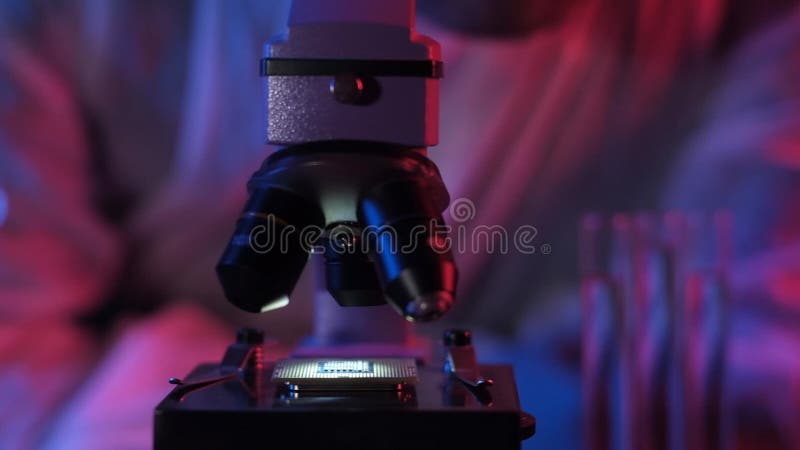 Researcher Laboratory with Neon Light Examines Computer Processor in ...