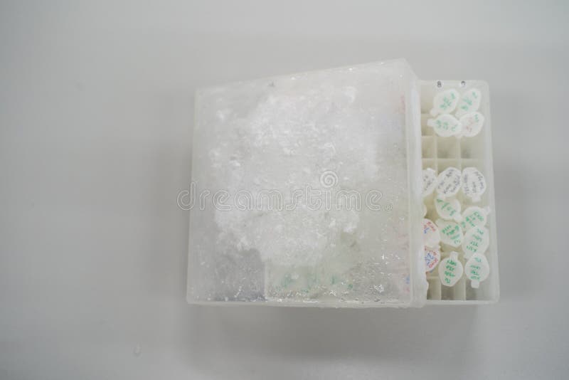 The Researcher Opens the Storage Box that Keeps the Sample in -80C ...